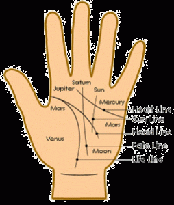 Palm Reading – Major Hand Lines